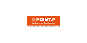 logo-pointp_v3 - MGT Conseils